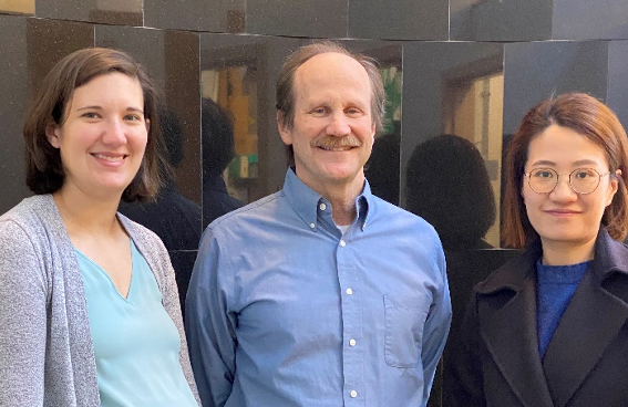 API Route Design - AcceleDev