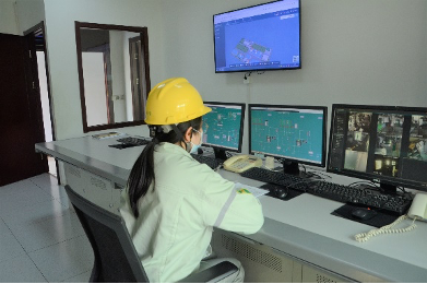 Process Safety Assessment - AcceleDev