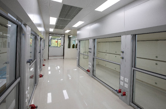 Process Optimization, Scale-up - AcceleDev