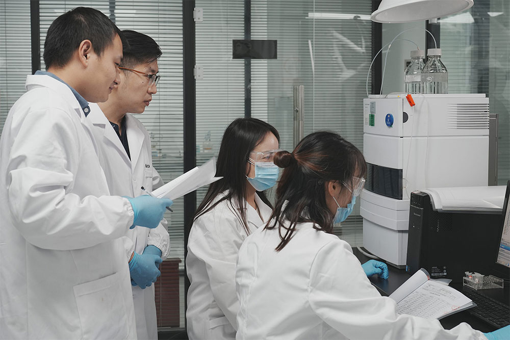 Overview - AcceleDev