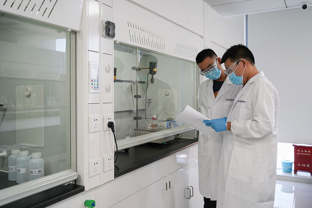 Overview - AcceleDev